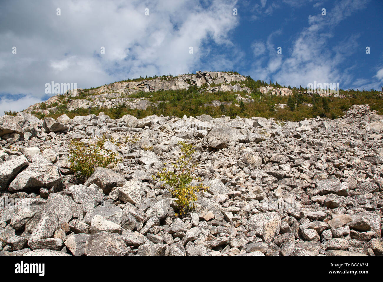 Zealand Notch - The cliffs of Whitewall Mountain from the Appalachian ...