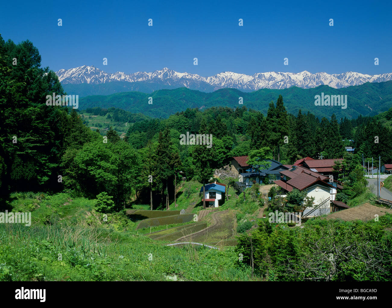 Omote tateya hi-res stock photography and images - Alamy