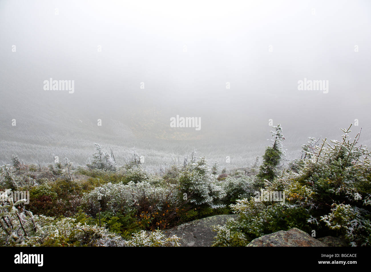 Franconia Notch State Park - Scenic views along the Rim Trail on the ...