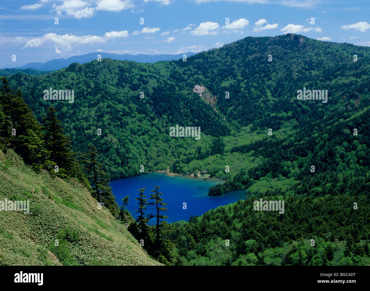 Onuma Ike, Yamanouchi, Nagano, Japan Stock Photo - Alamy