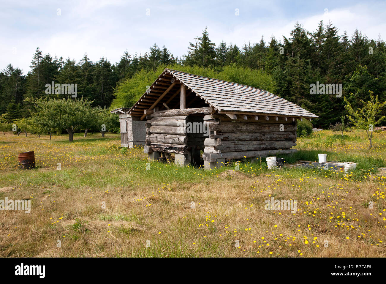 Mud cabin hi-res stock photography and images - Alamy