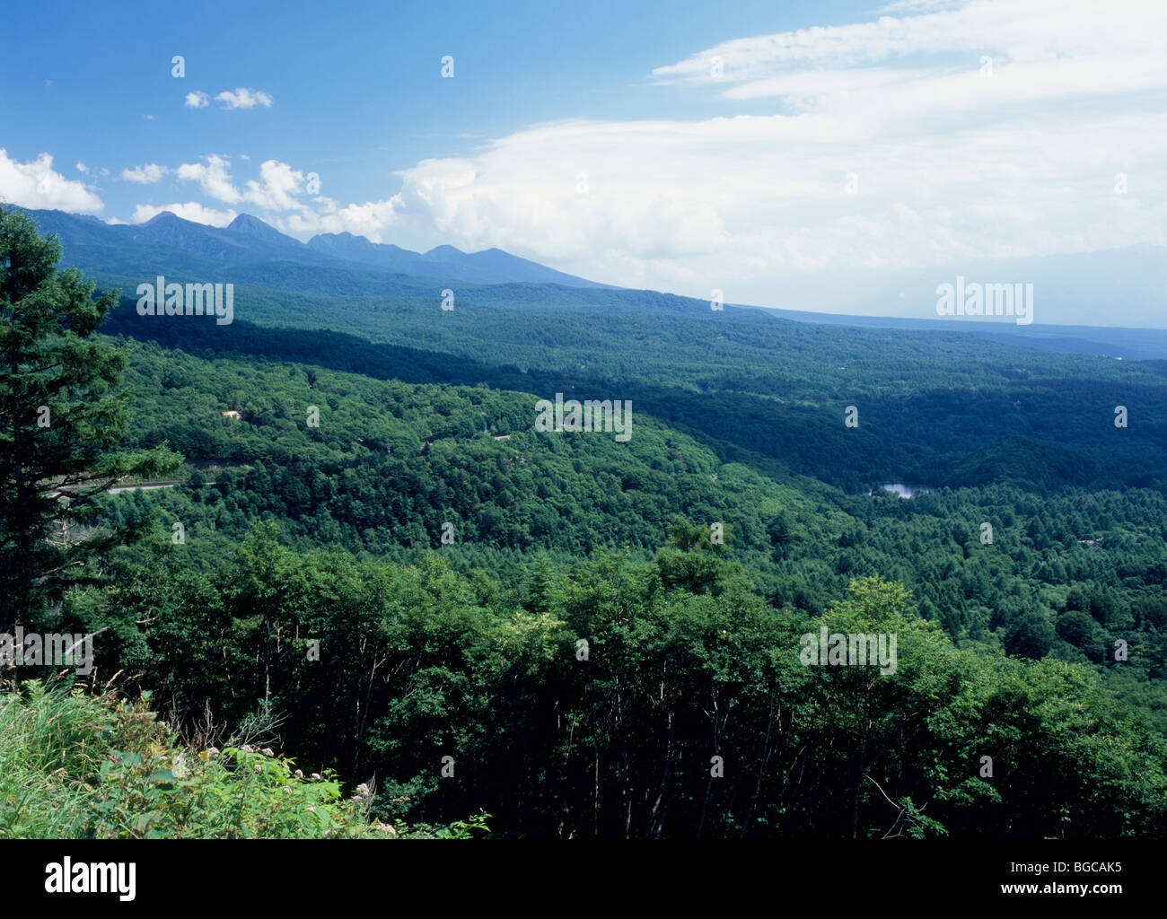 Chino nagano hi-res stock photography and images - Alamy