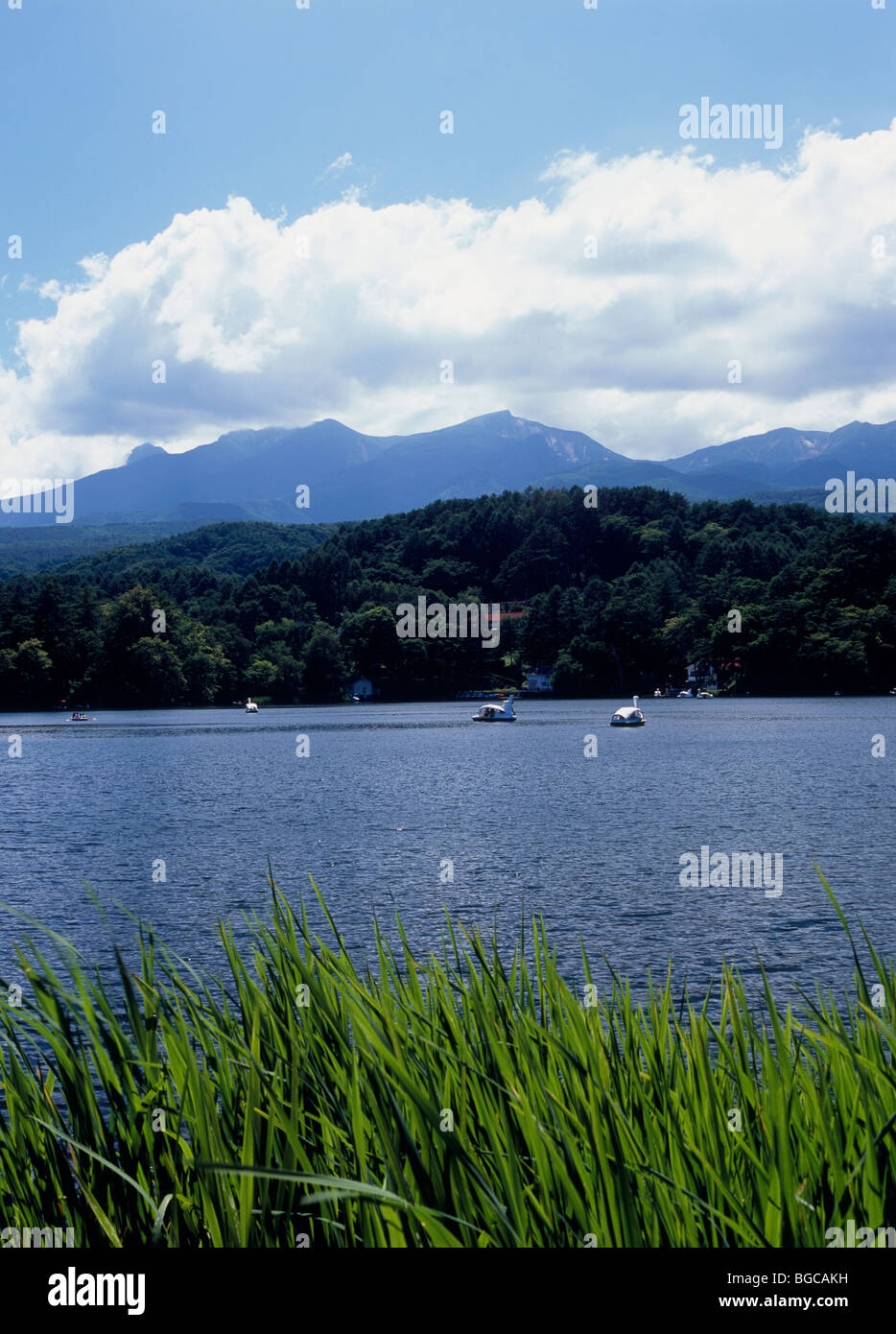 Matsubara hi-res stock photography and images - Alamy