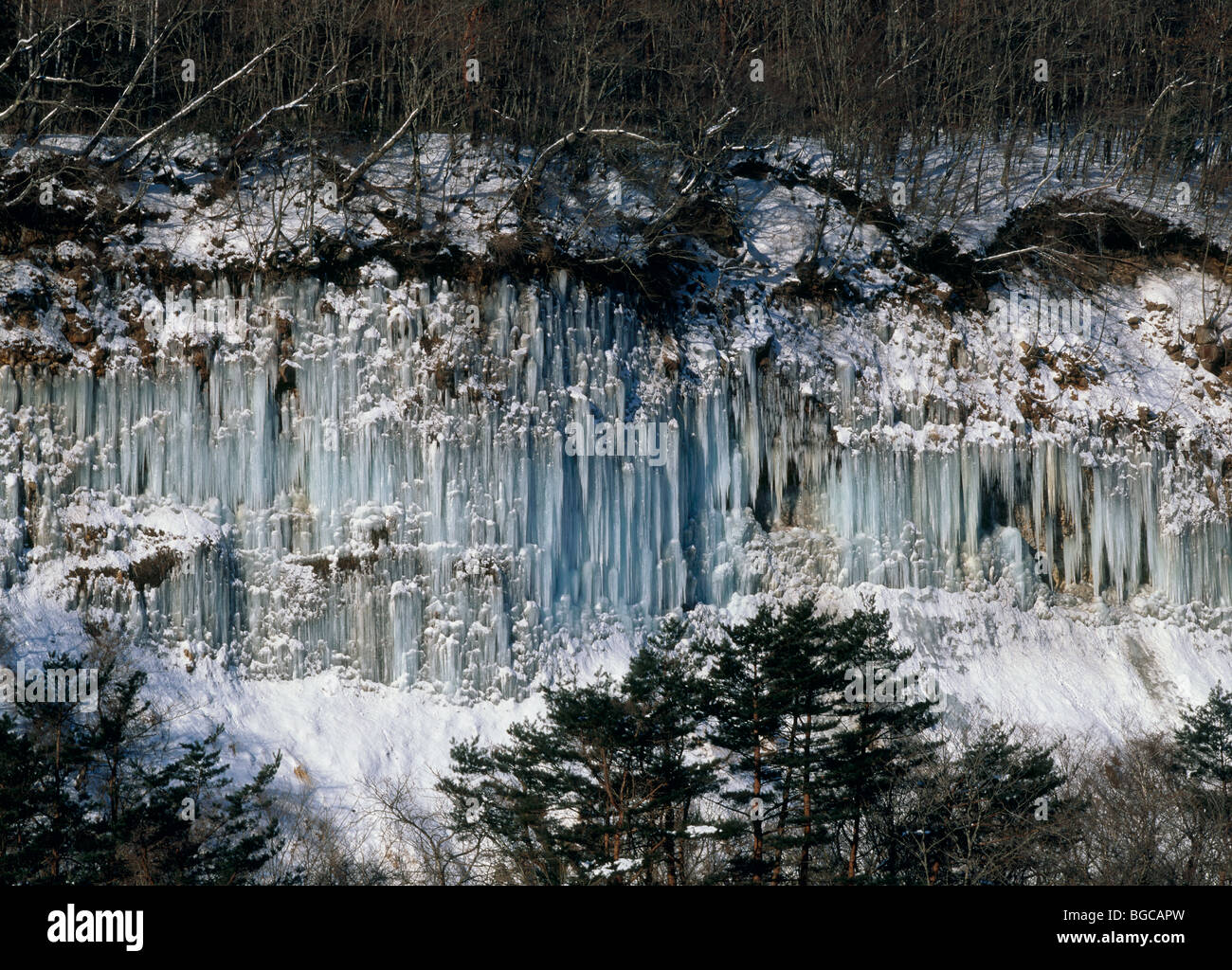 Shirakawa Ice Pillars, Kiso, Nagano, Japan Stock Photo - Alamy