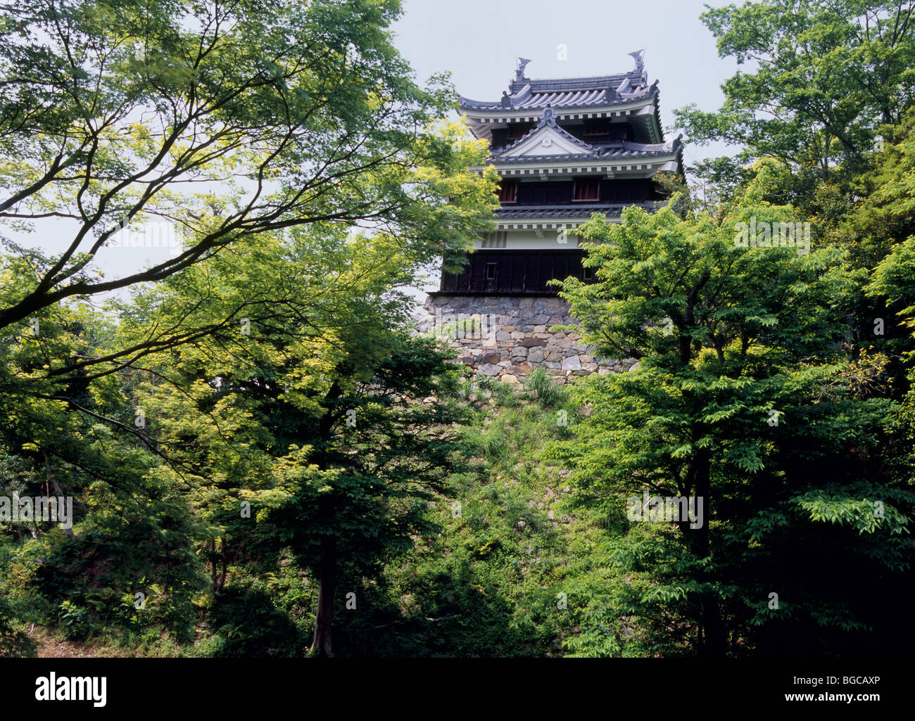 Nishio hi-res stock photography and images - Alamy