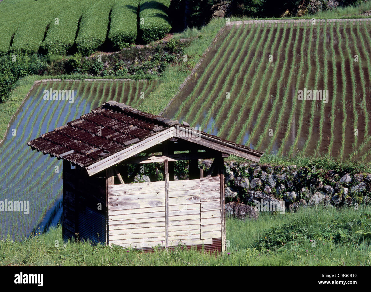 Nagaenotanada, Shitara, Aichi, Japan Stock Photo - Alamy