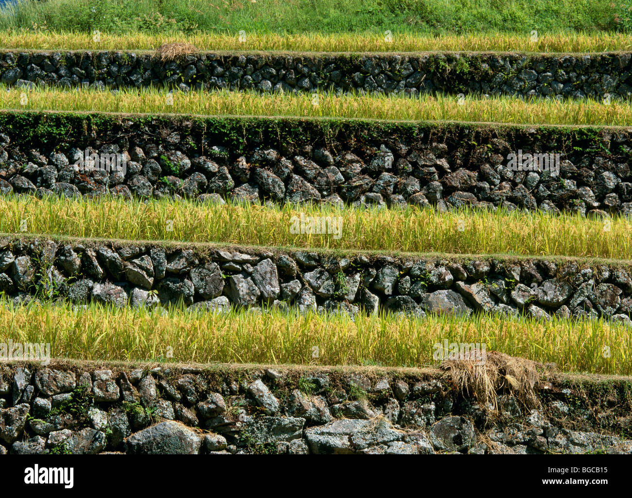 Nagaenotanada, Shitara, Aichi, Japan Stock Photo - Alamy