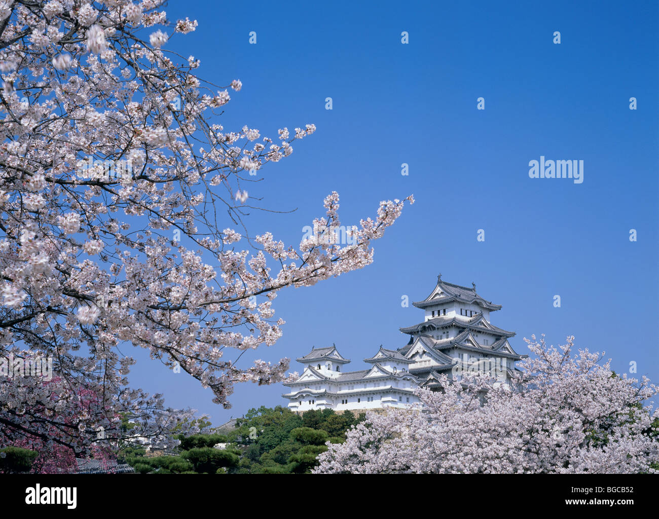 Himeji Castle, Himeji, Hyogo, Japan Stock Photo - Alamy