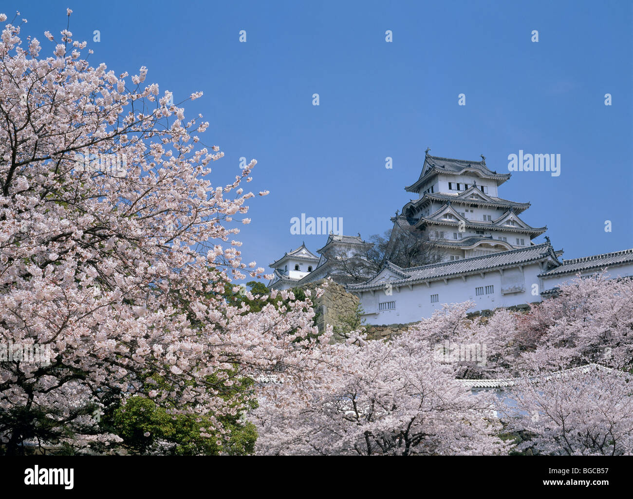Himeji Castle, Himeji, Hyogo, Japan Stock Photo - Alamy
