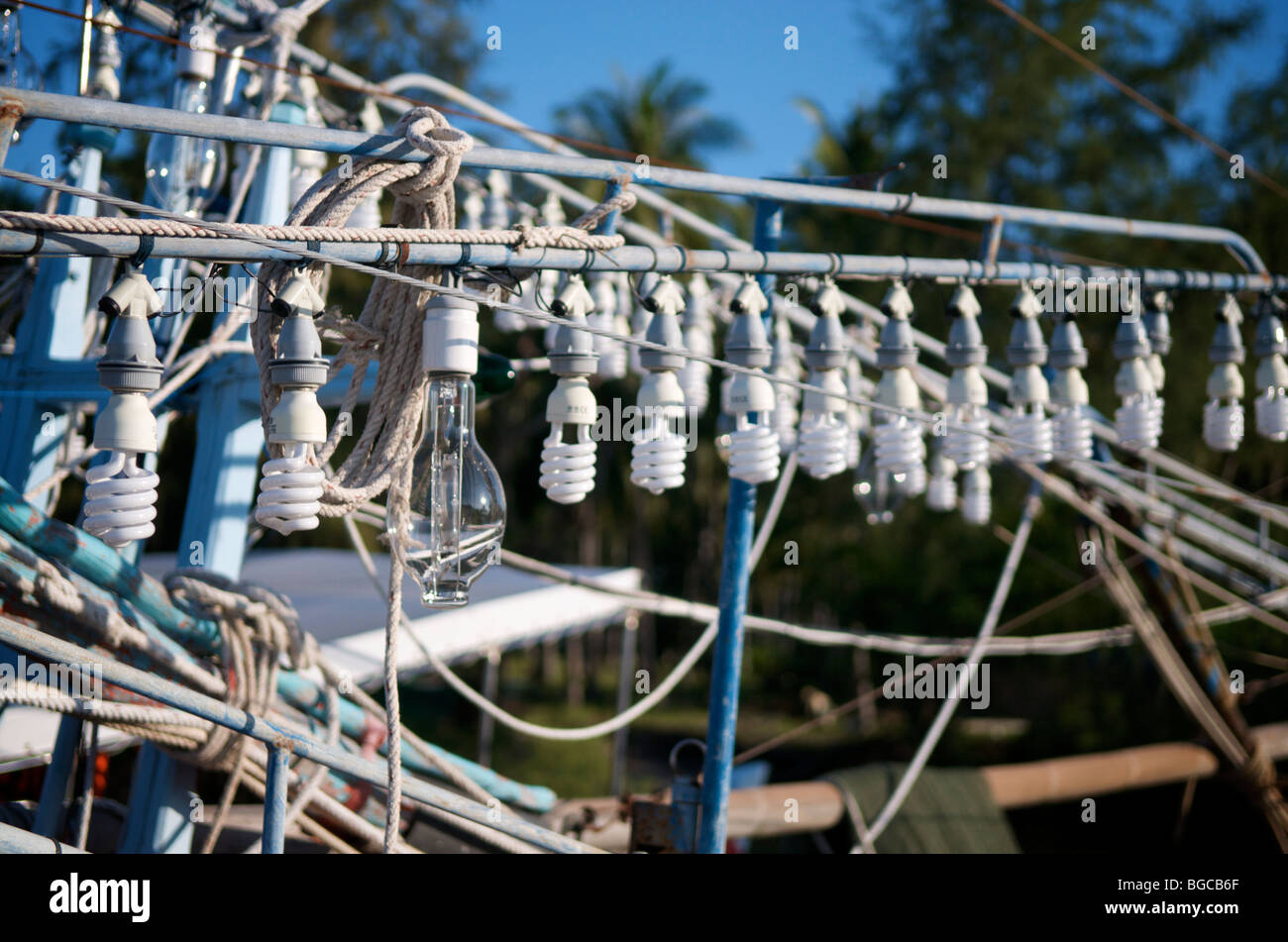 energy efficient light bulbs on a squid boat Stock Photo - Alamy