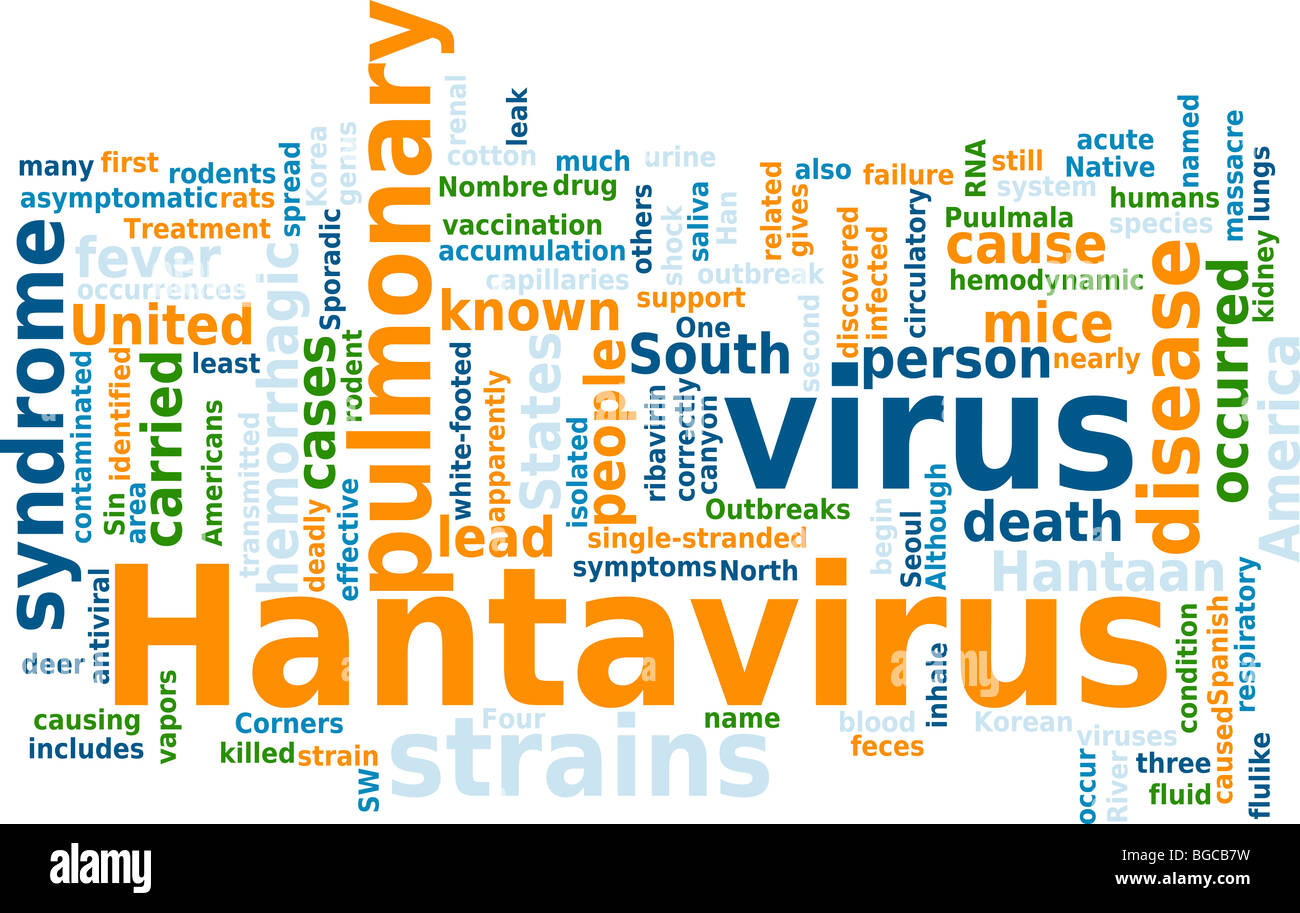 Word cloud concept illustration of Hantavirus disease Stock Photo - Alamy