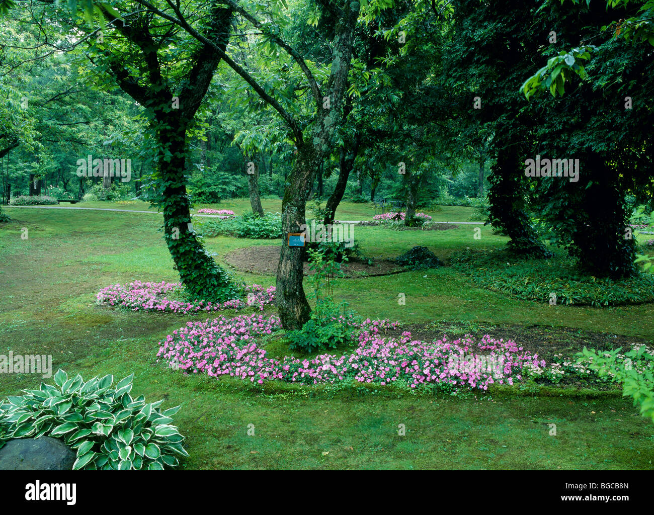 Tajima Plateau Botanical Gardens, Kami, Hyogo Stock Photo - Alamy