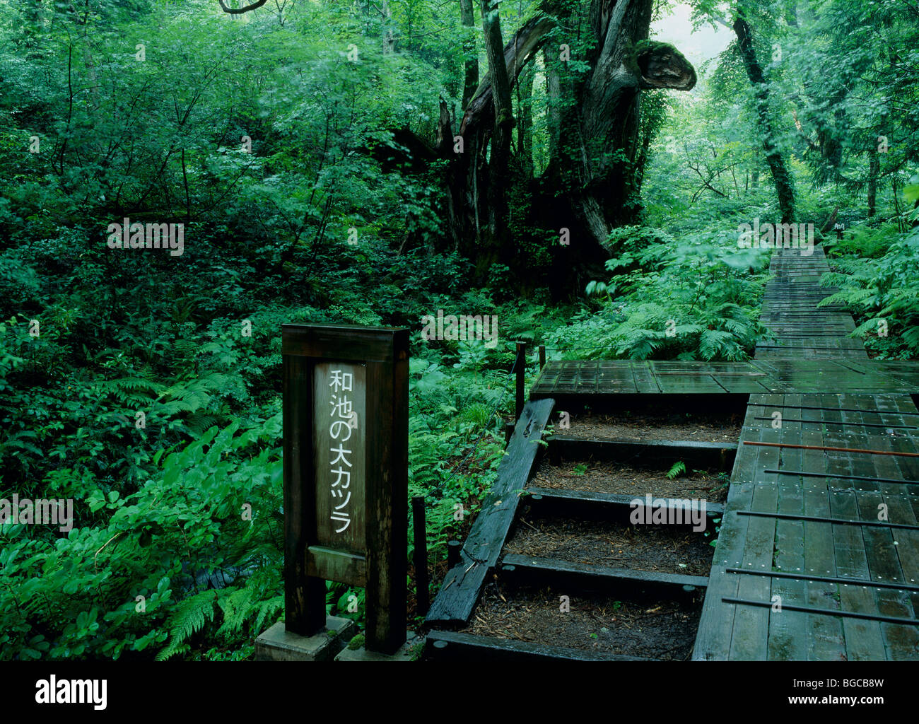 Wachi No Okatsura, Kami, Hyogo, Japan Stock Photo - Alamy