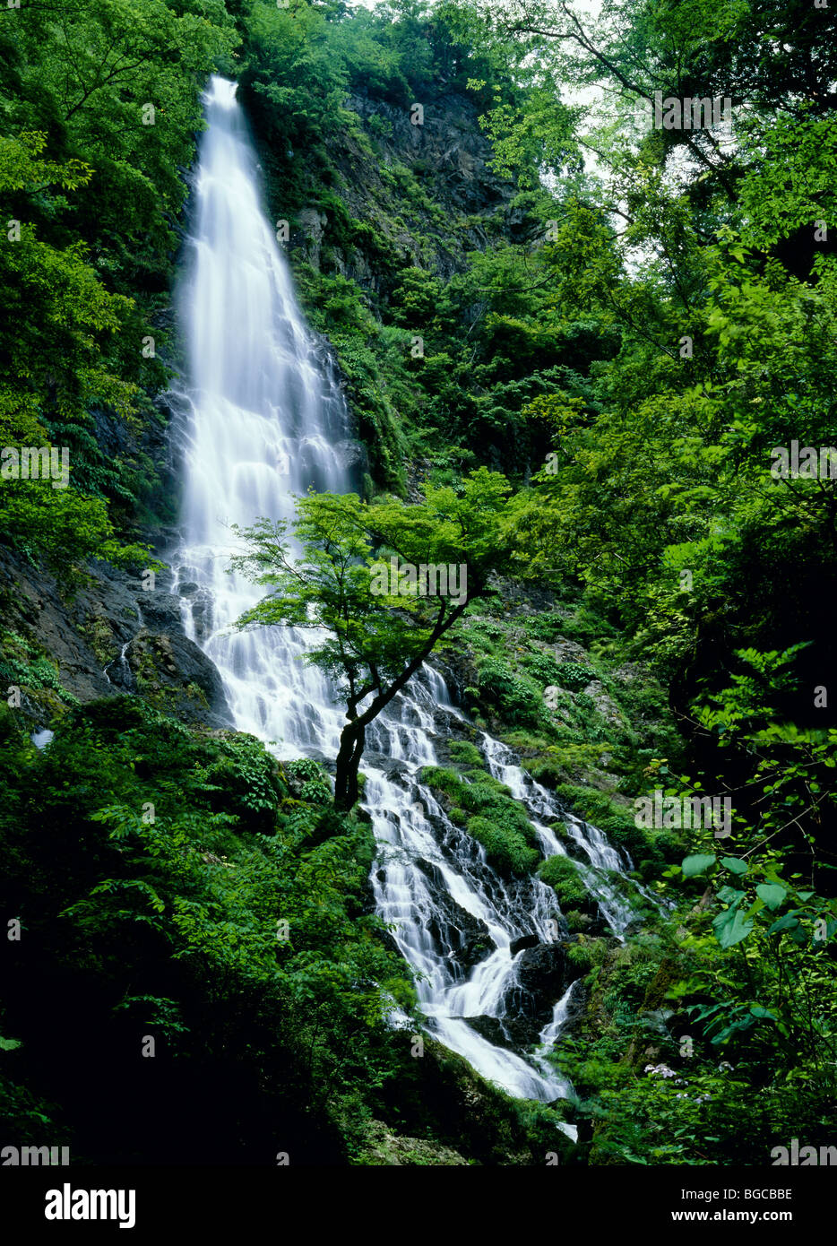 Tendaki, Yabu, Hyogo, Japan Stock Photo - Alamy
