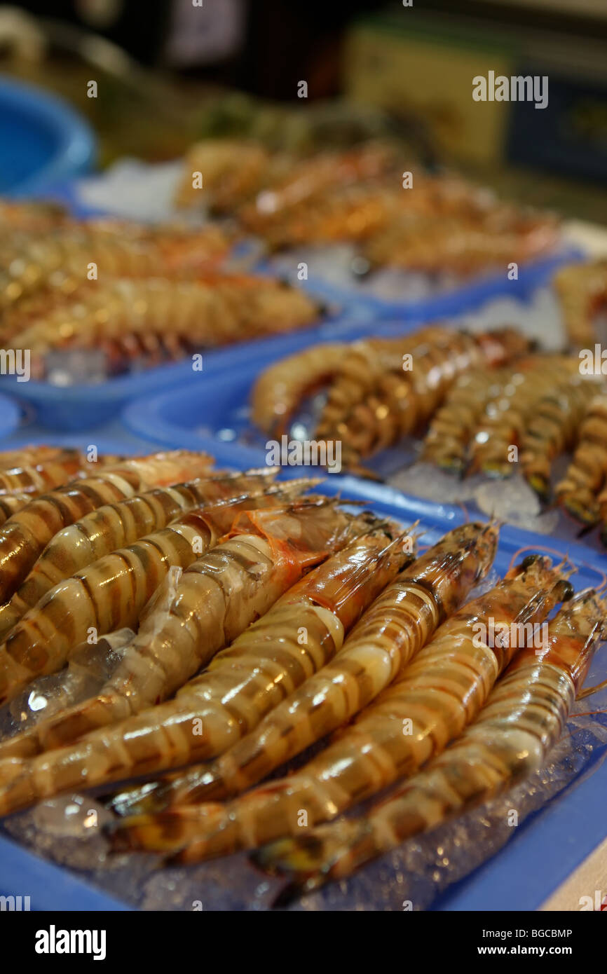 prawns on a sea-food market Stock Photo - Alamy