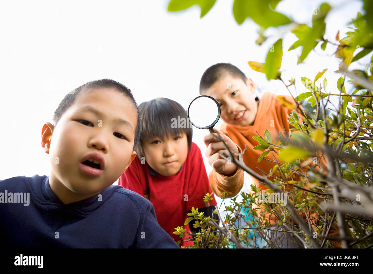 Three boys watching with magnifier Stock Photo - Alamy