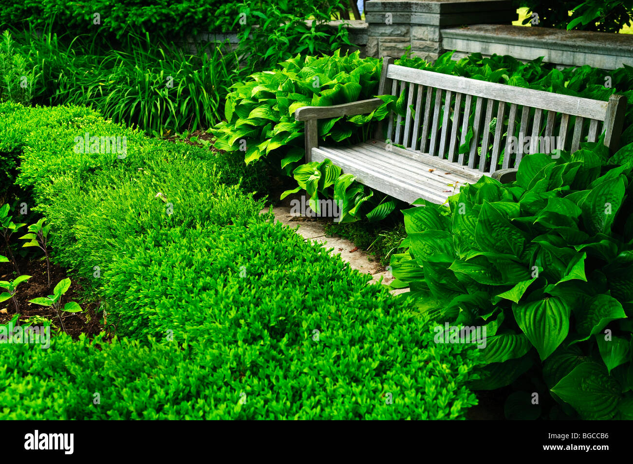 Lush green garden with stone landscaping, hedge and bench Stock Photo ...