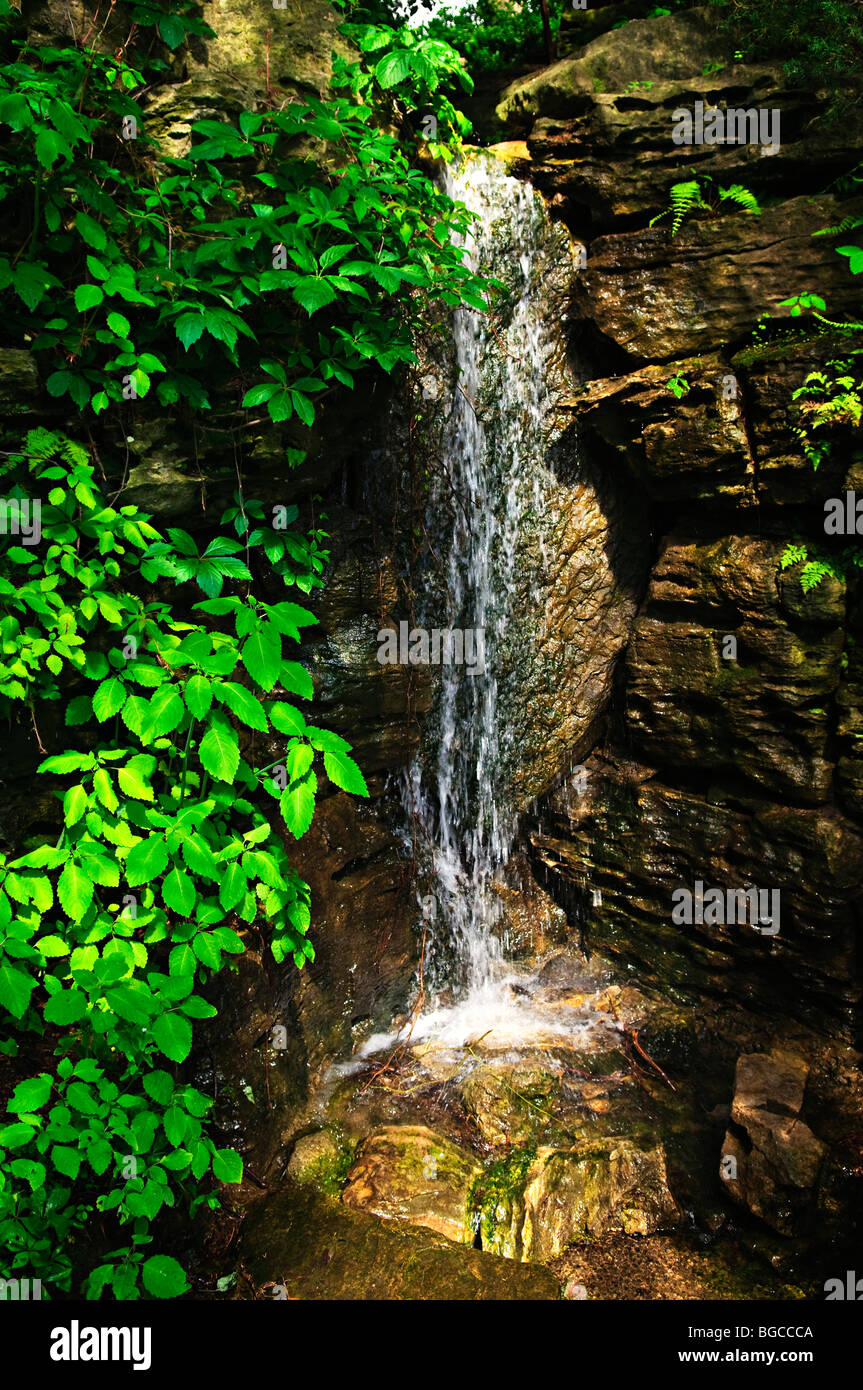 Small waterfall falling down rocks in the forest Stock Photo - Alamy
