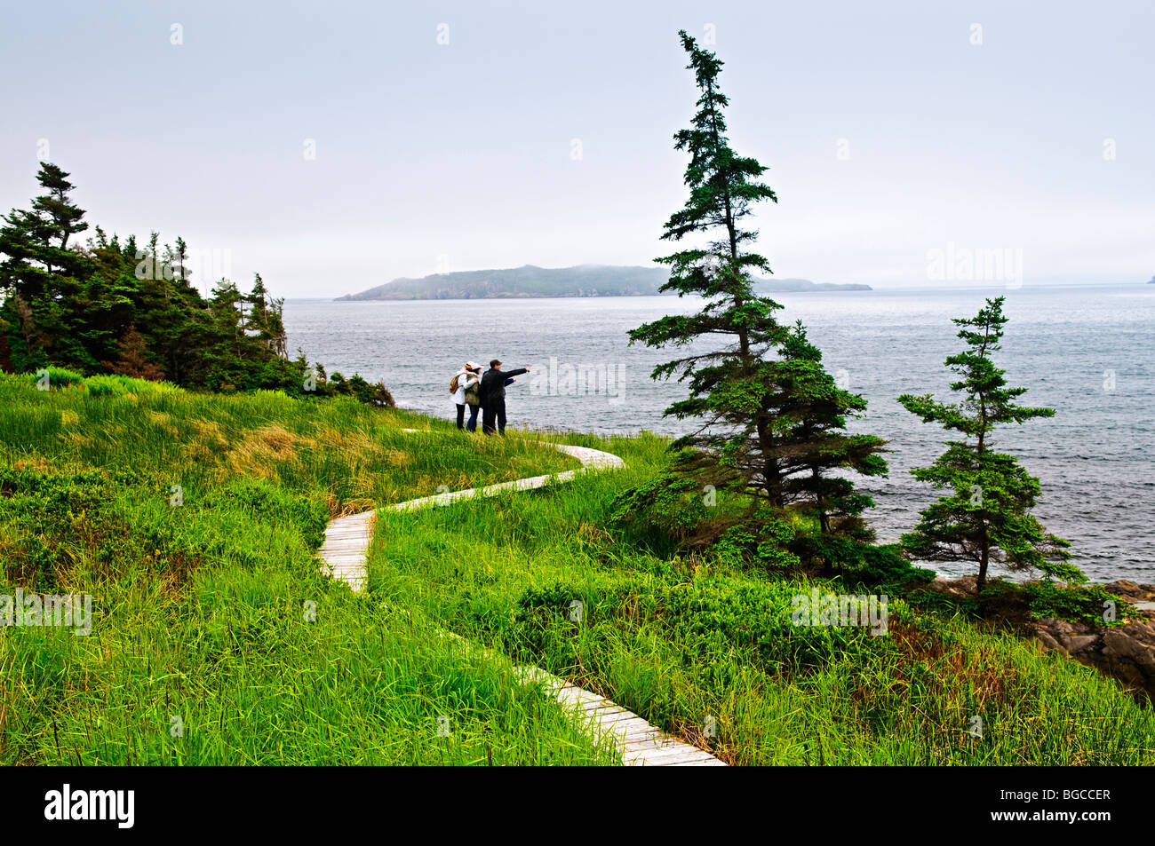 Father and children standing at Atlantic shore in Newfoundland, Canada ...