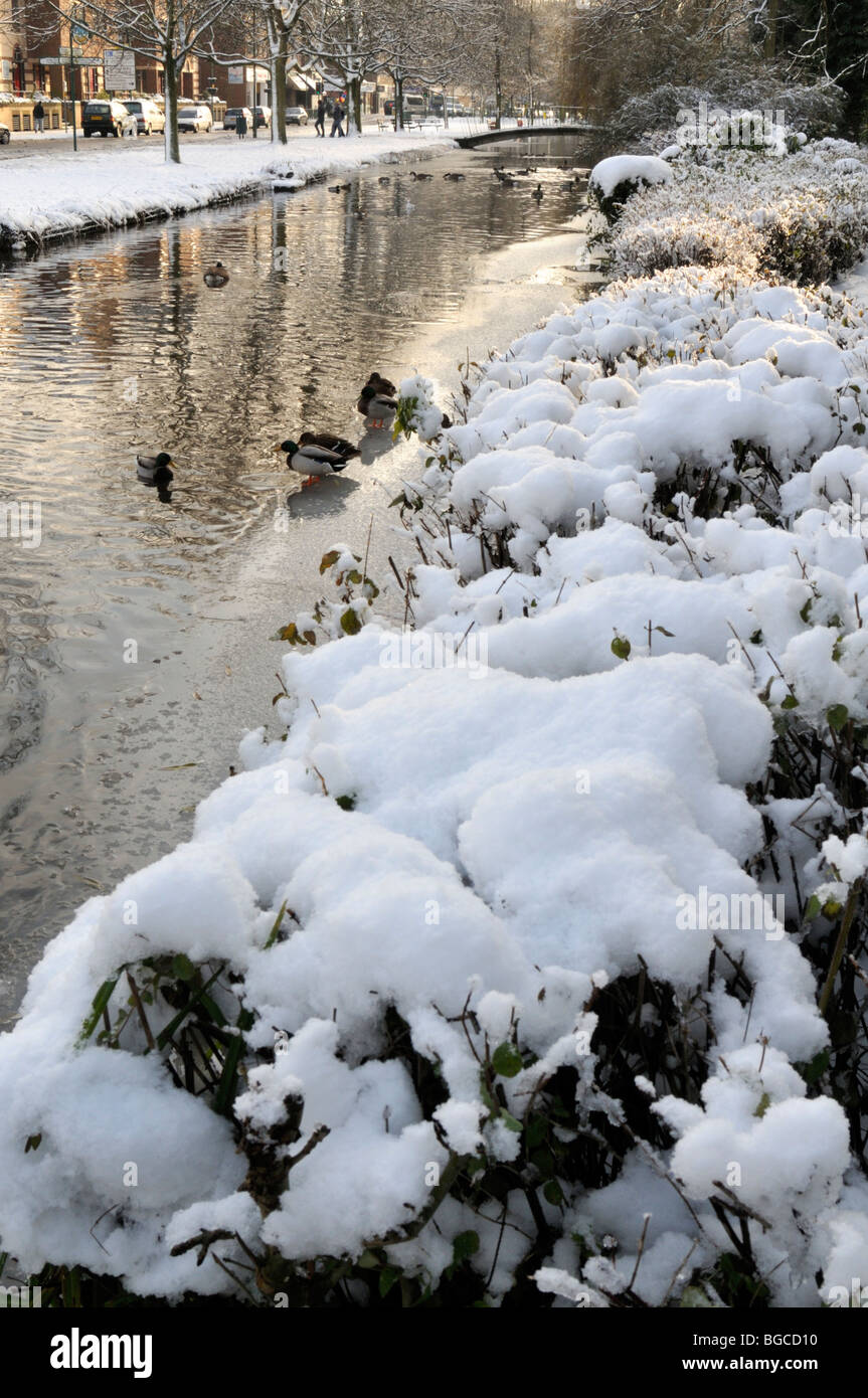 The river gade chiltern hi-res stock photography and images - Alamy