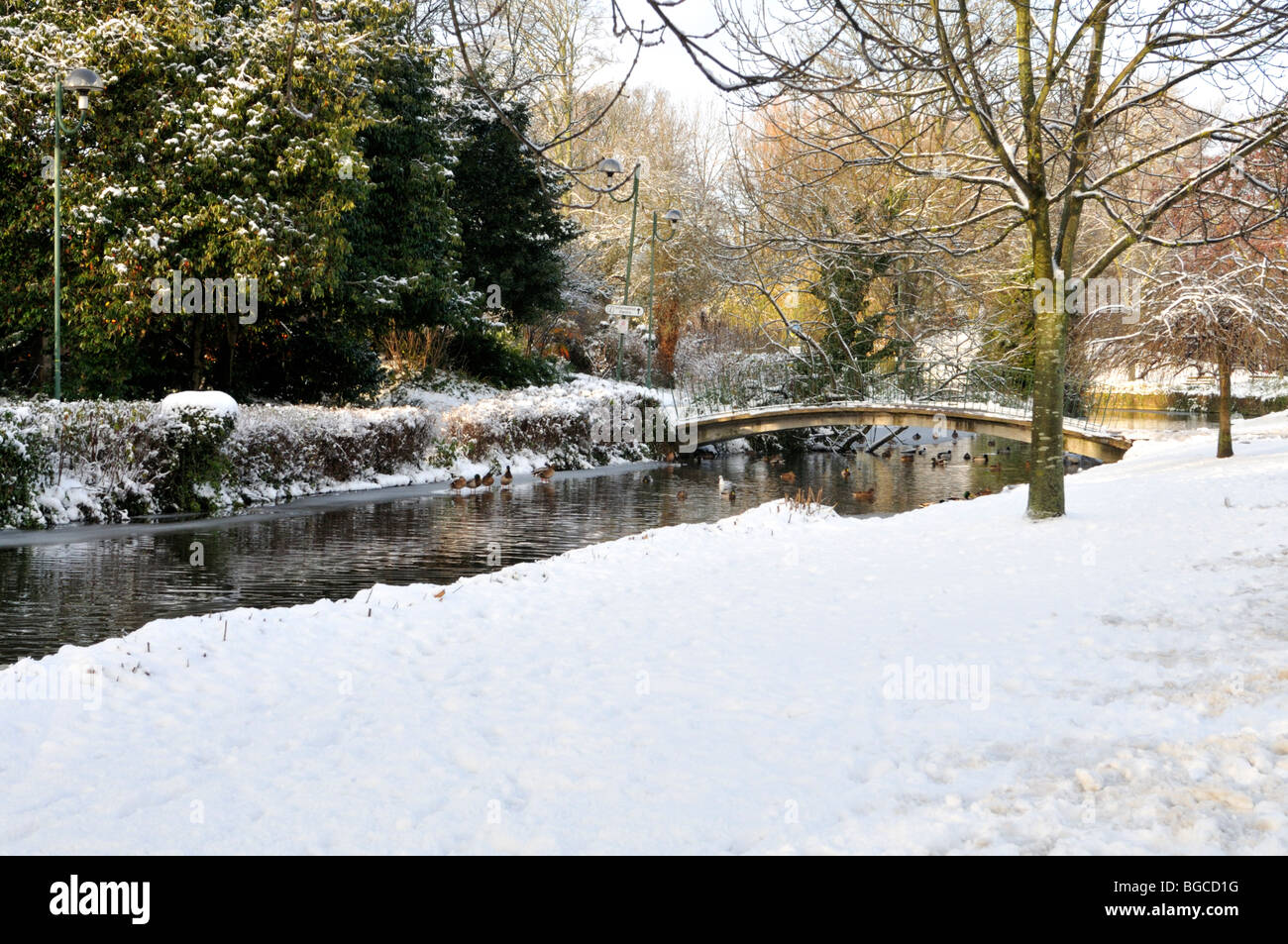 River Gade in winter, Hemel Hempstead, Hertfordshire, UK Stock Photo ...