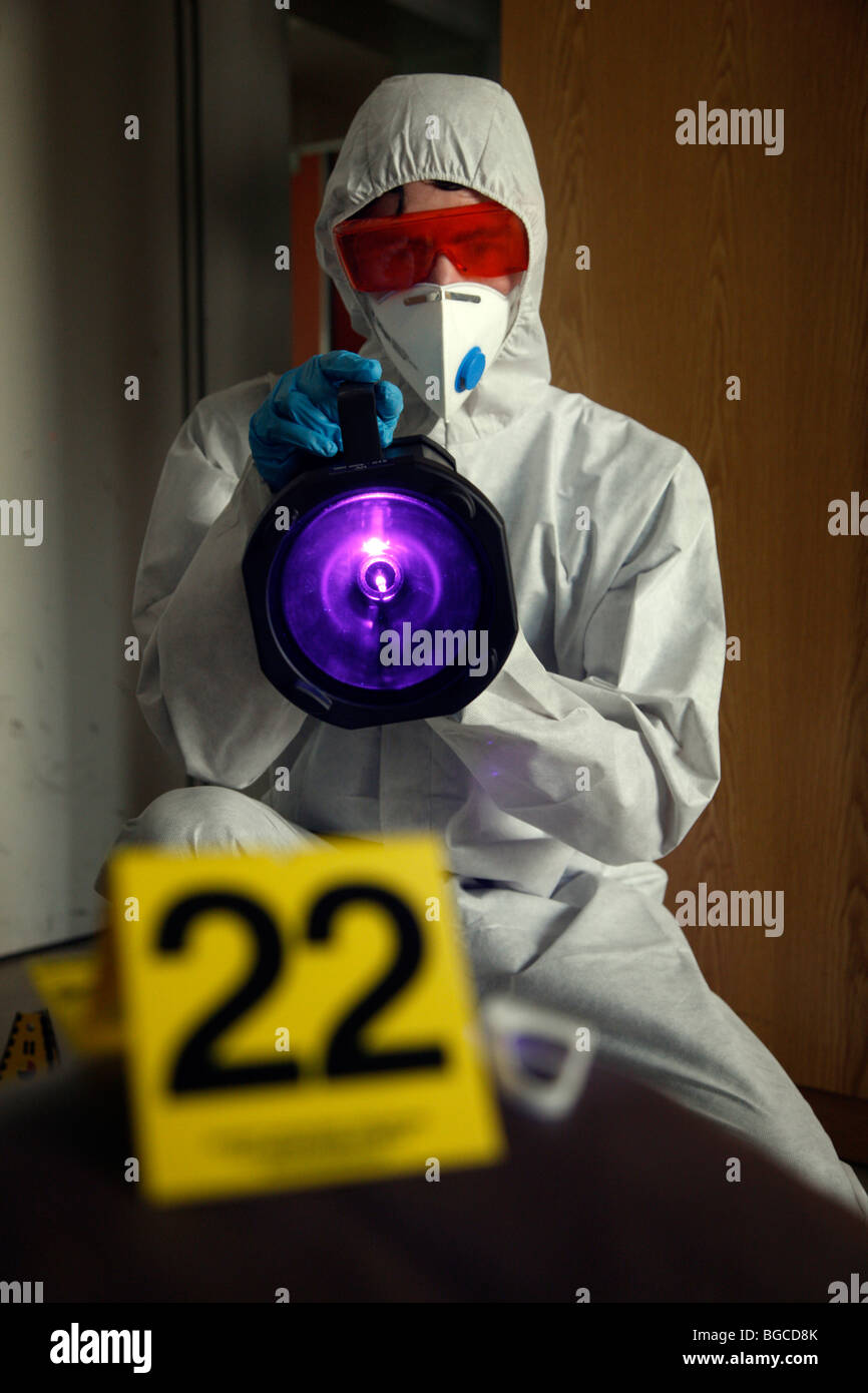 Crime scene investigation, forensic people at a murder scene. Police ...