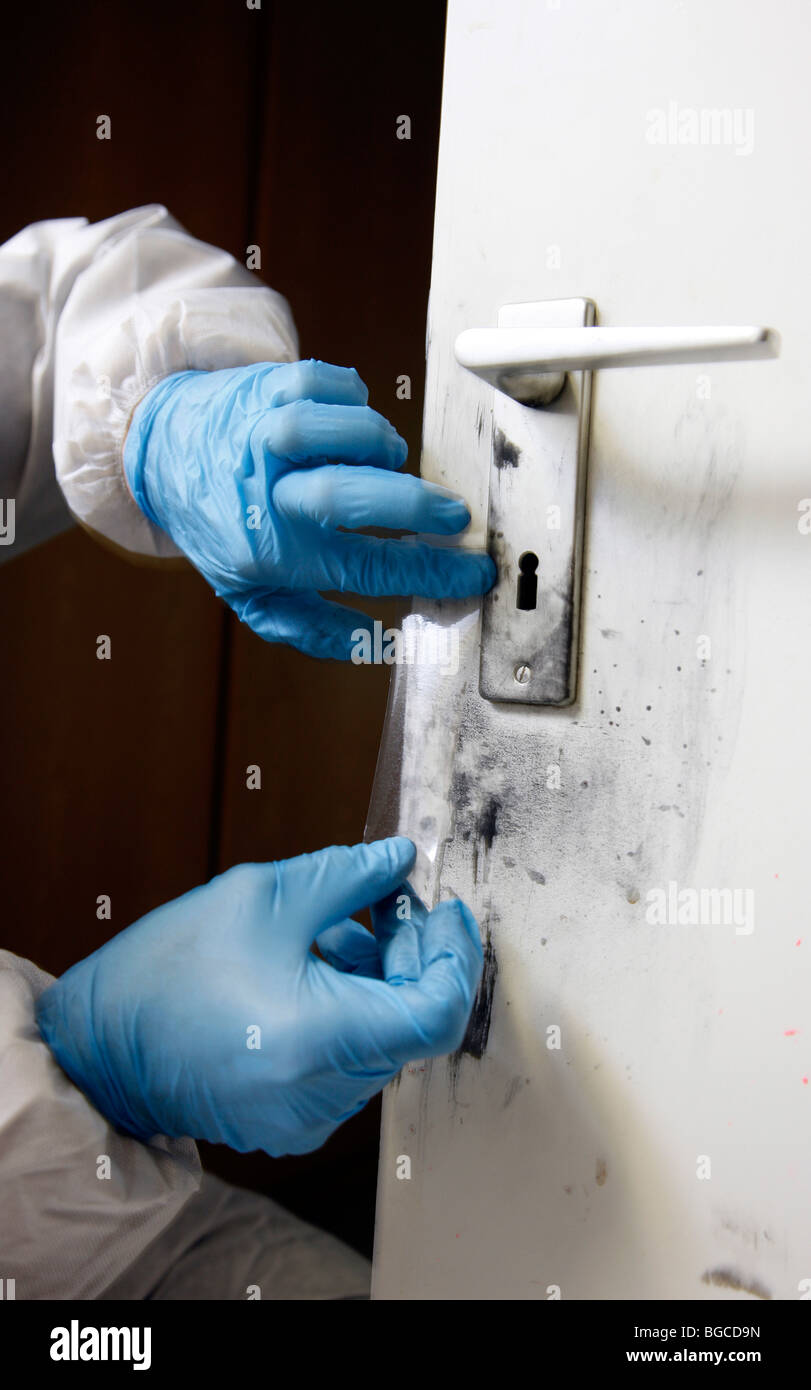 Crime scene investigation, forensic people at a murder scene. Police ...