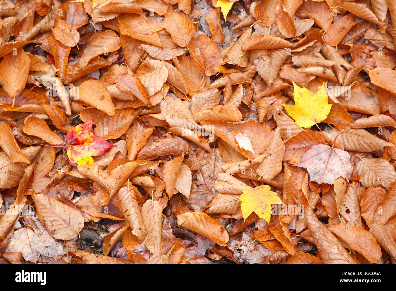 Sandwich Notch Road High Resolution Stock Photography and Images - Alamy