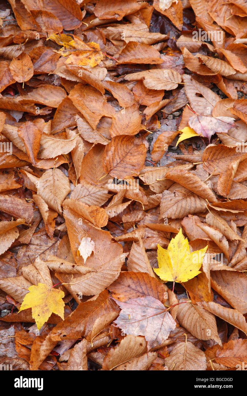 Sandwich notch road hi-res stock photography and images - Alamy