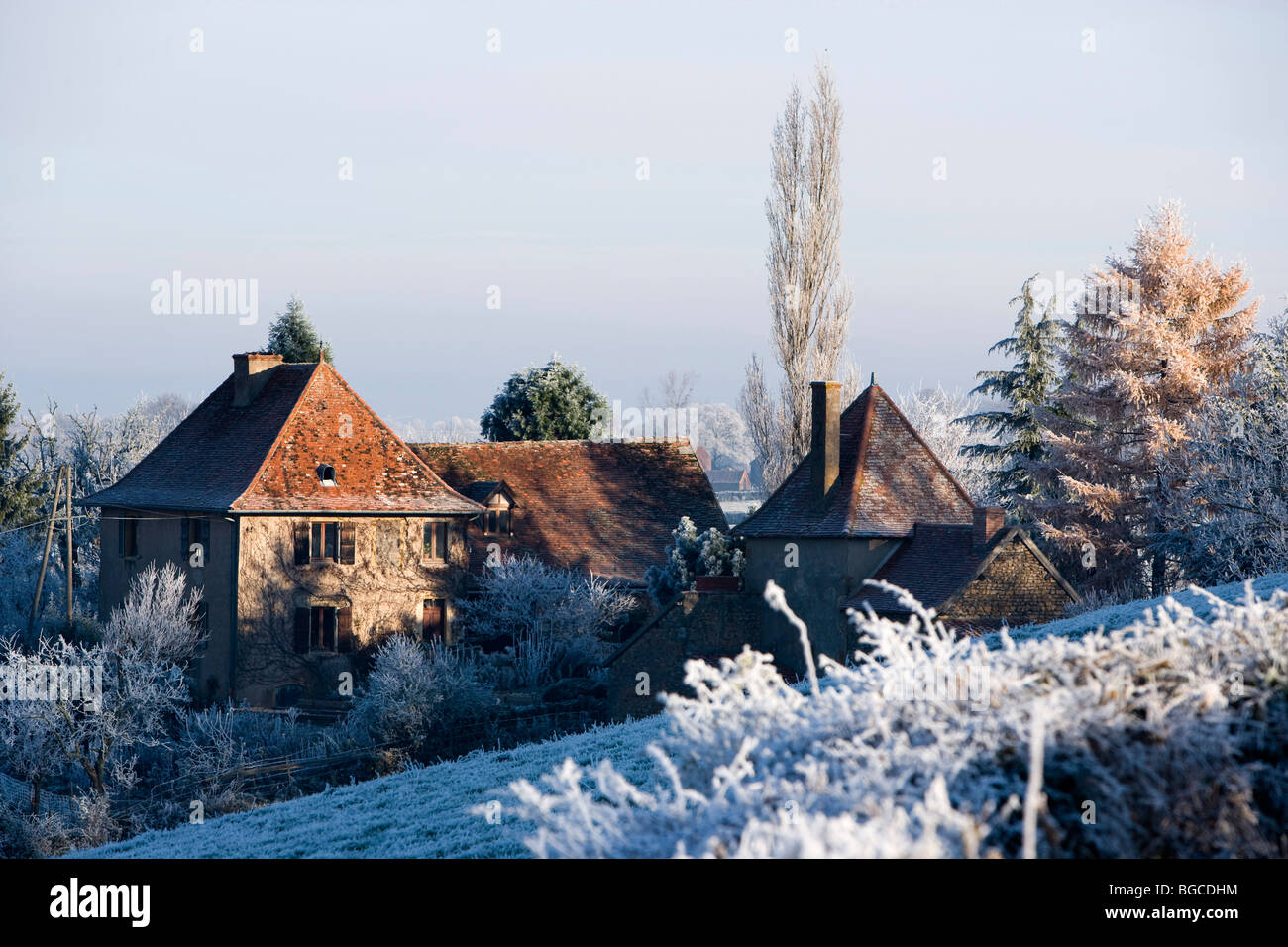 Arrival of winter in Brionnais région. Saône et Loire (71), Burgundy ...