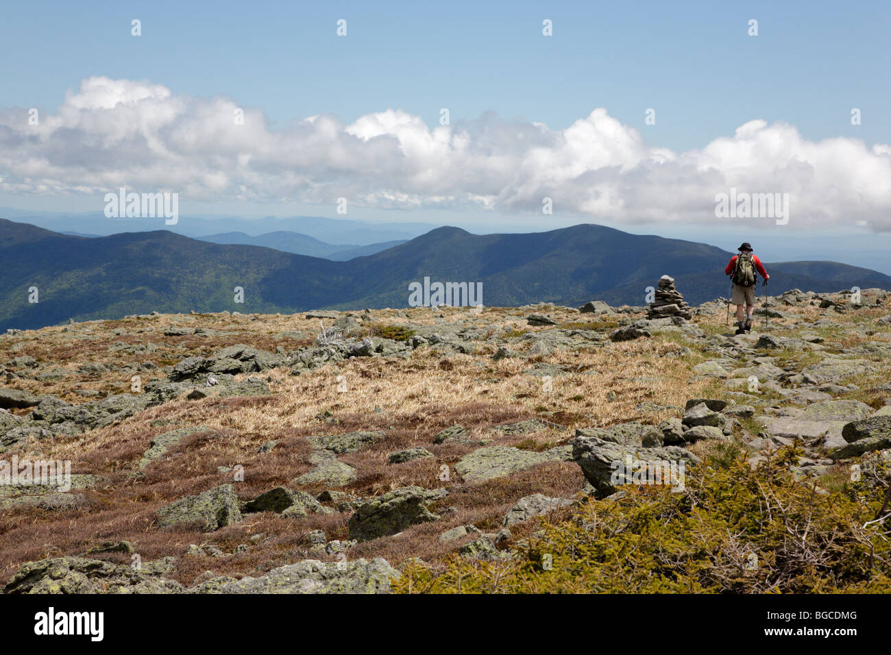 A hiker on Davis Path during the summer months. Located in the White ...