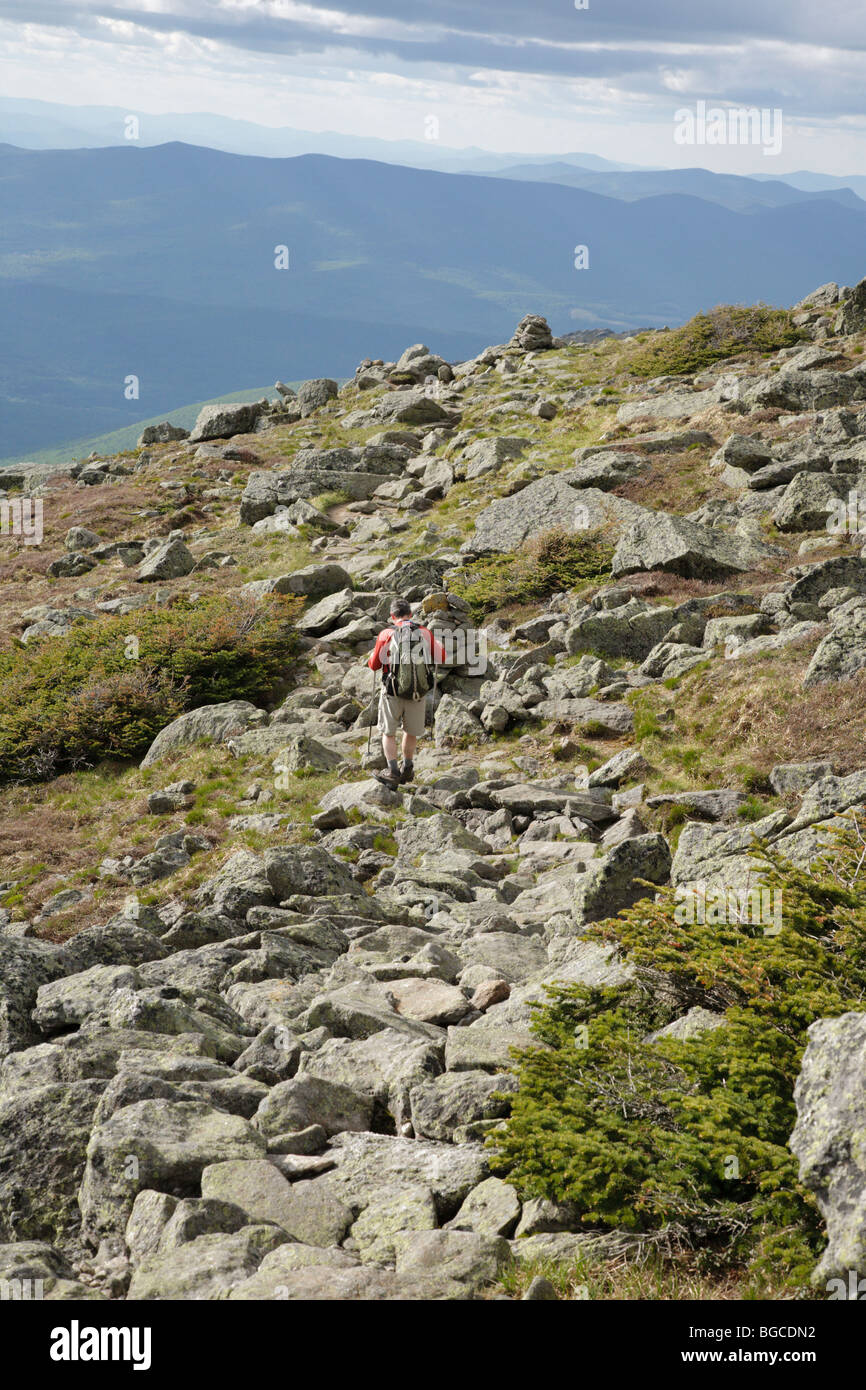 A hiker on the Appalachian Trail near Mount Clay during the summer ...