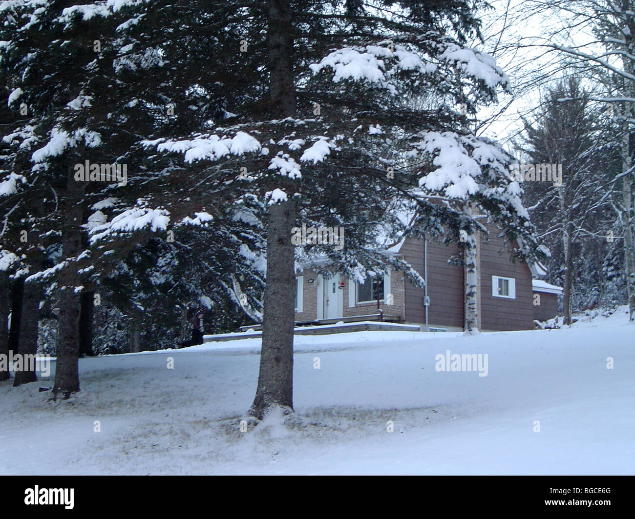 January scene hi-res stock photography and images - Alamy