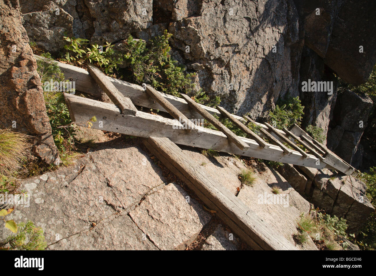 Franconia Notch State Park - Trail ladder along the Hi-Cannon Trail ...