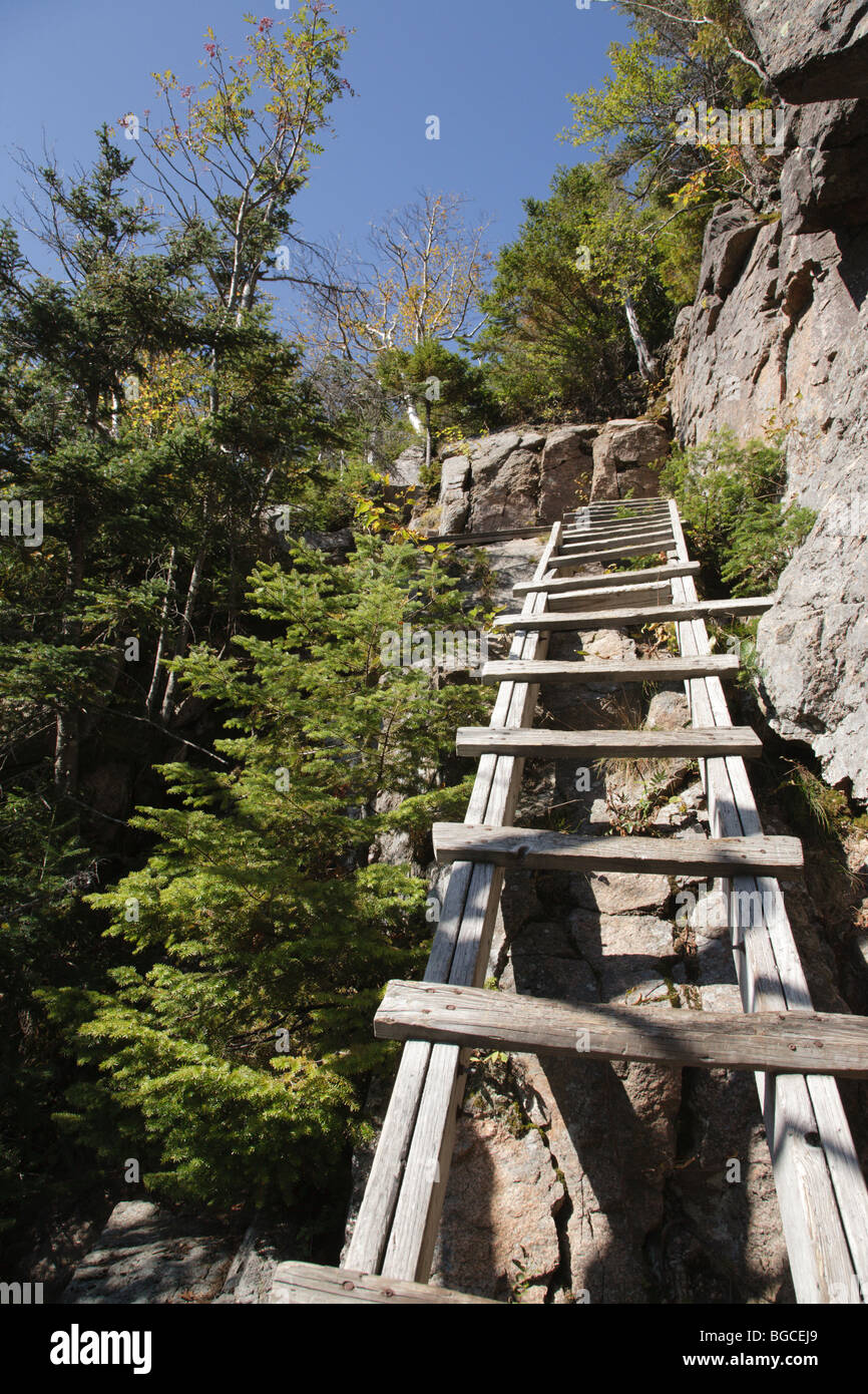 Ladder climb hi hi-res stock photography and images - Alamy