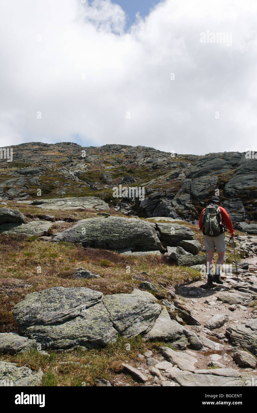Appalachian Trail - A hiker ascending Crawford Path during the summer ...