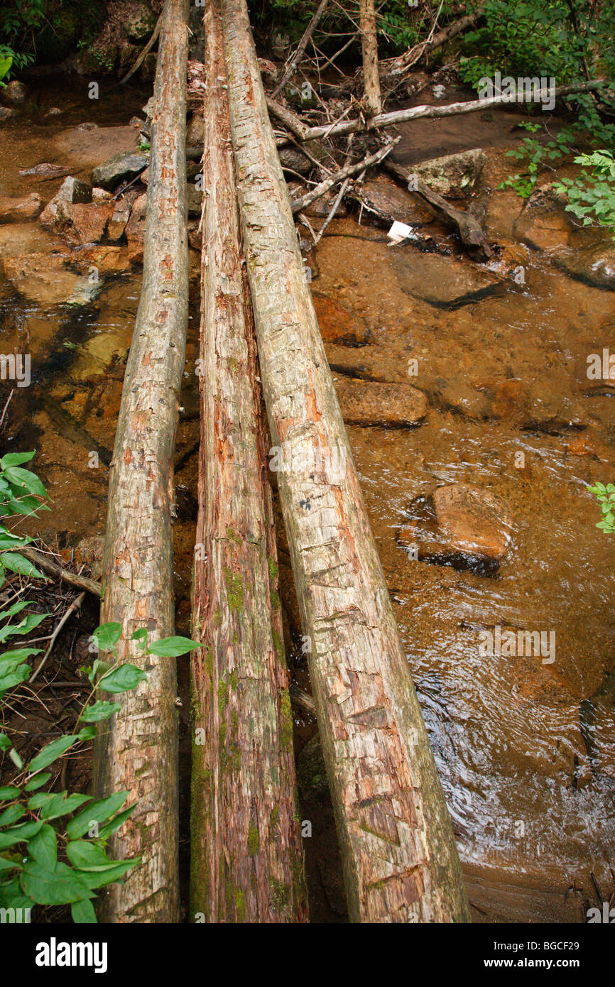 Nancy pond trail hi-res stock photography and images - Alamy