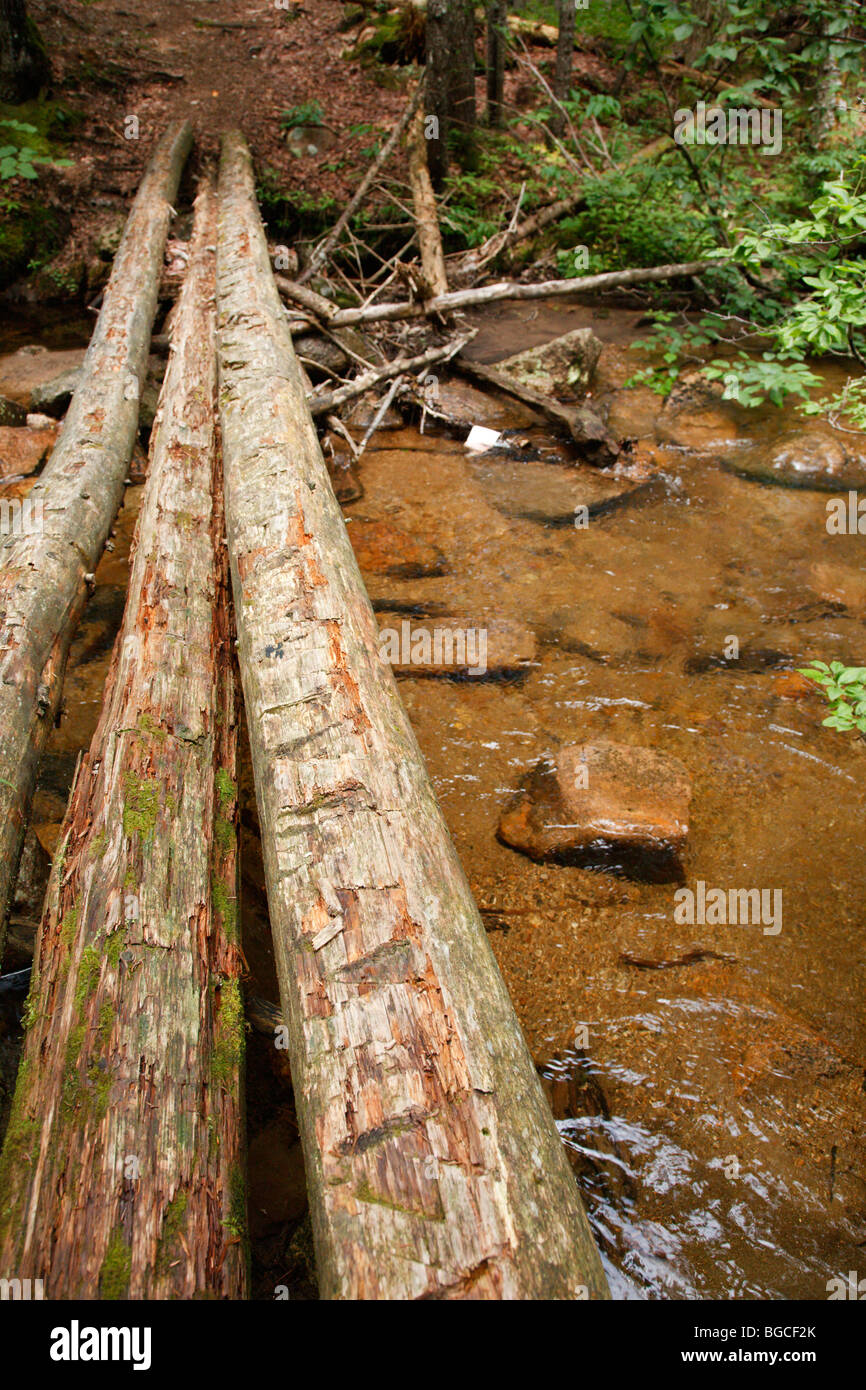 Nancy pond trail hi-res stock photography and images - Alamy