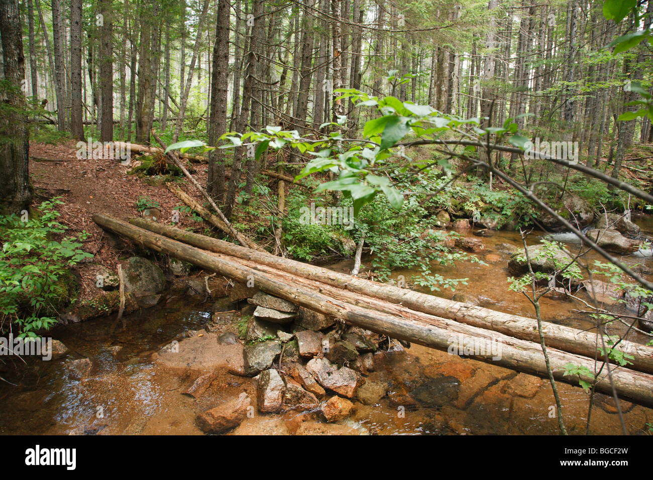 Nancy brook scenic area hi-res stock photography and images - Alamy