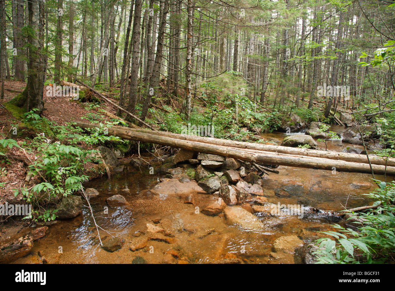 Bridge along Nancy Pond Trail, which crosses Notch Brook, in the ...