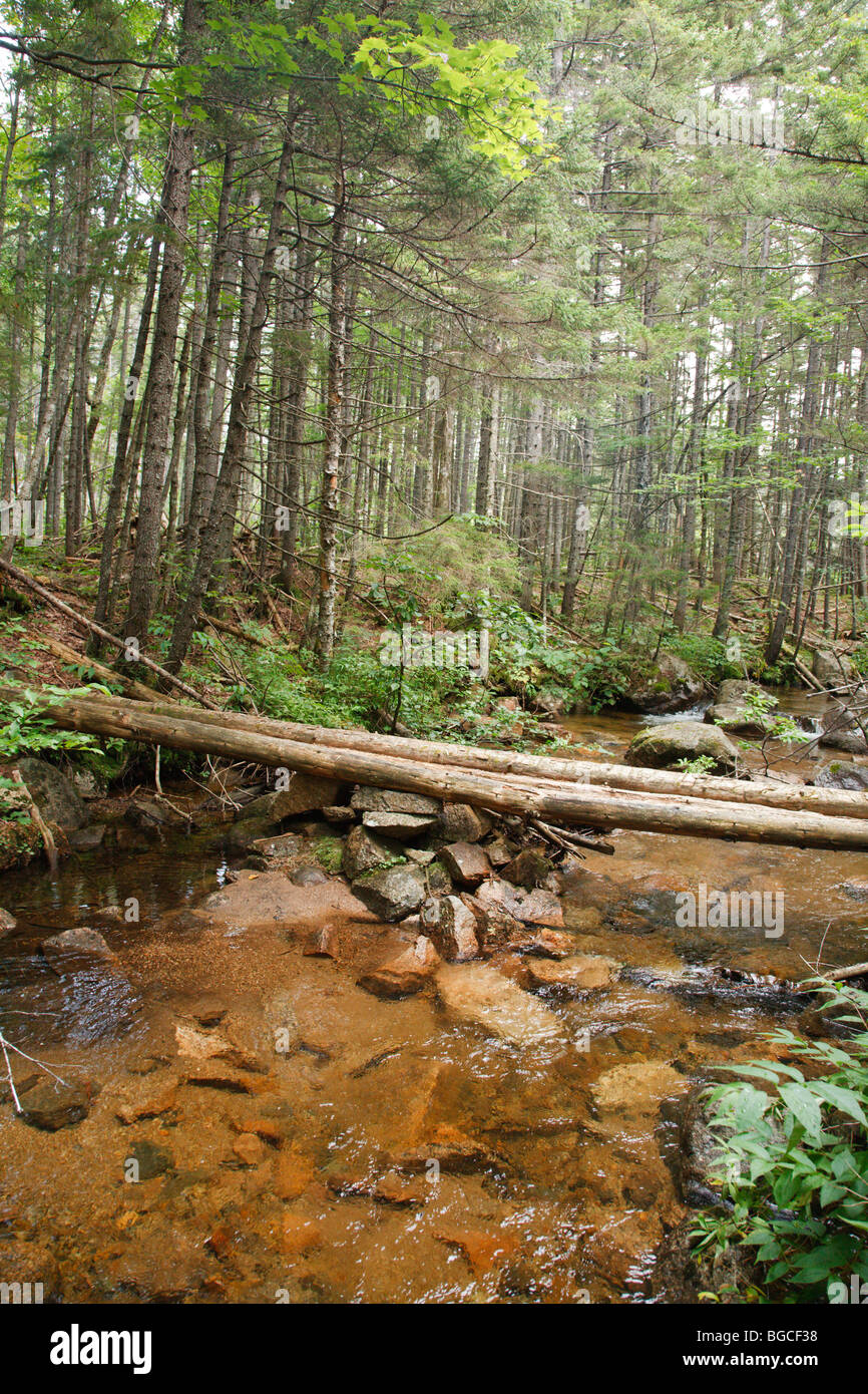 Bridge along Nancy Pond Trail, which crosses Notch Brook, in the ...