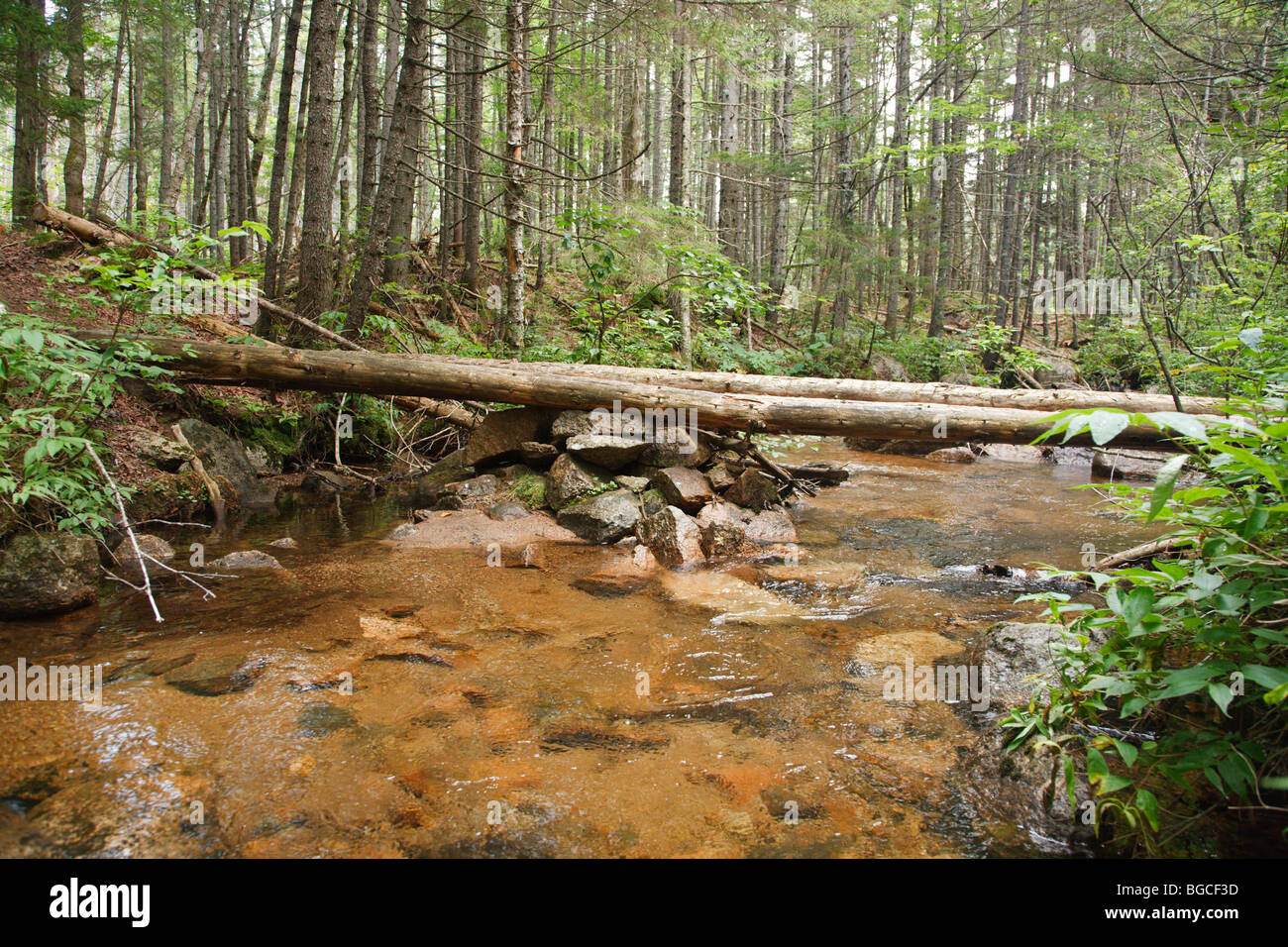 Nancy brook scenic area hi-res stock photography and images - Alamy