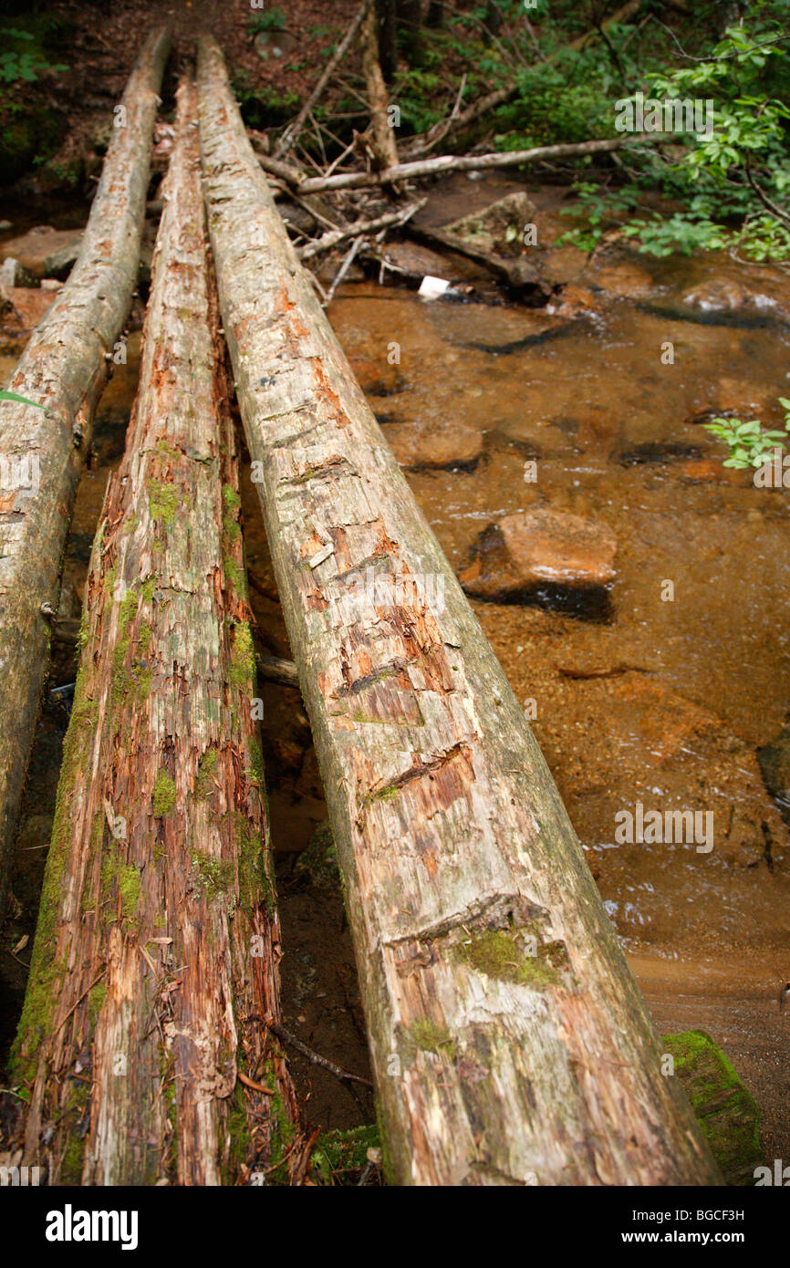 Bridge along Nancy Pond Trail, which crosses Notch Brook, in the ...