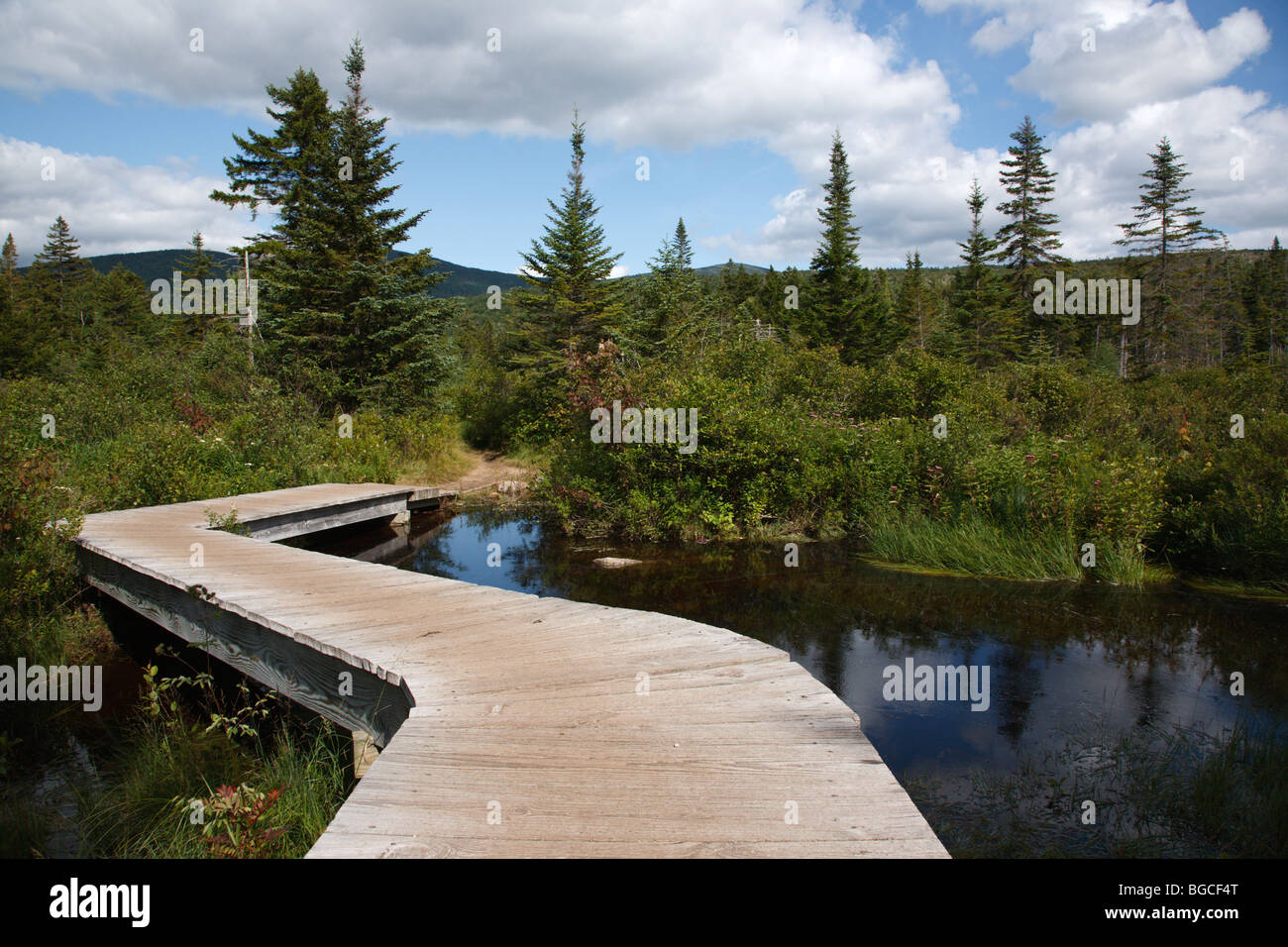 Foot bridge along Zealand Trail during the summer months. Located in the White Mountains, New ...