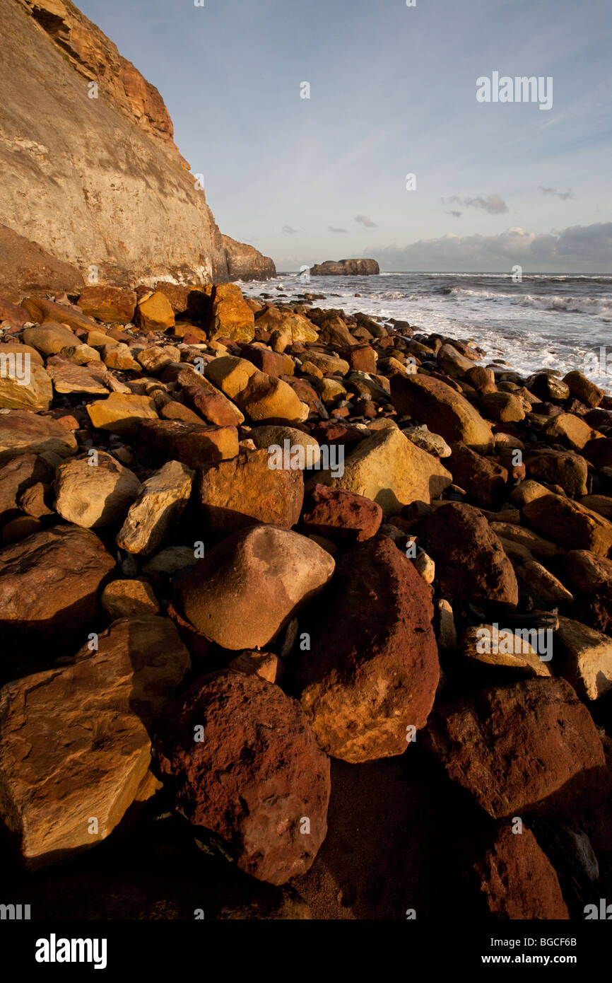 Saltwick bay fossils hi-res stock photography and images - Alamy