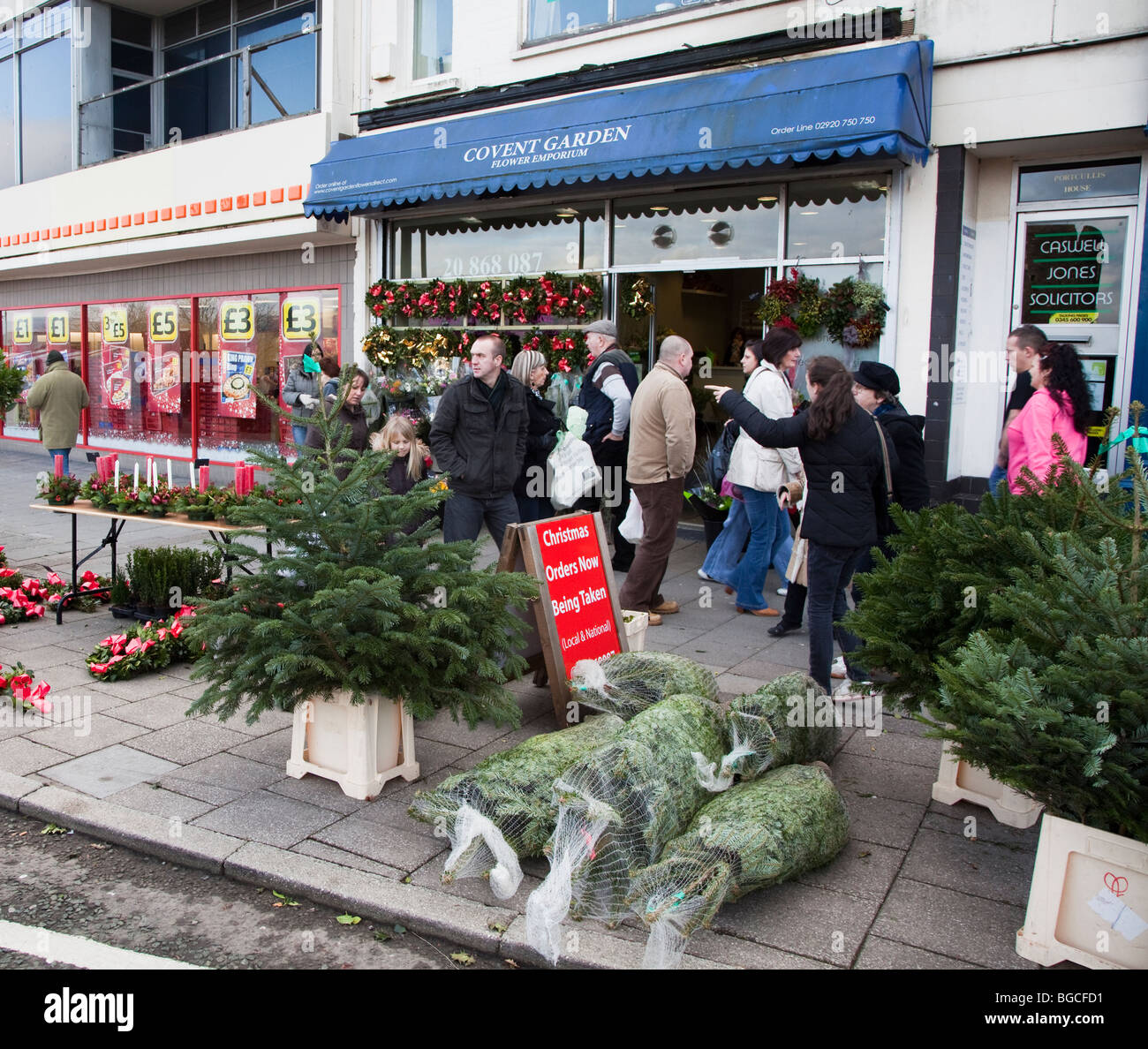 Uk christmas trees hi-res stock photography and images - Alamy