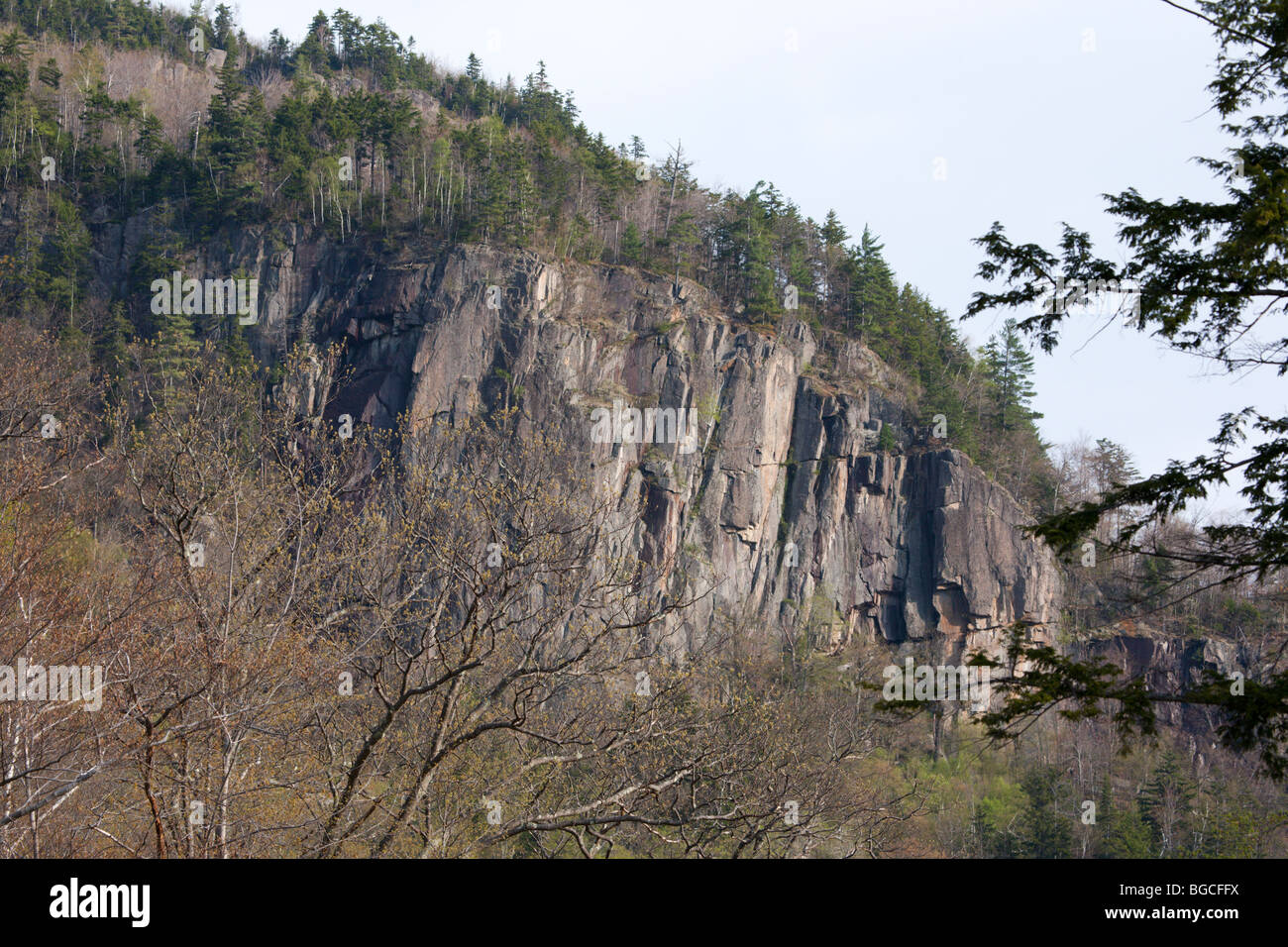 Crawford Notch State Park - A section of Frankenstein Cliff from Route ...