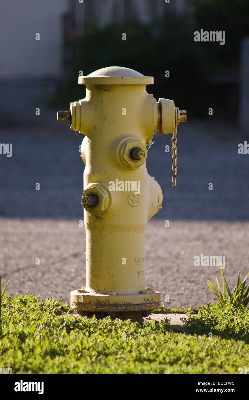 A yellow fire hydrant Stock Photo - Alamy