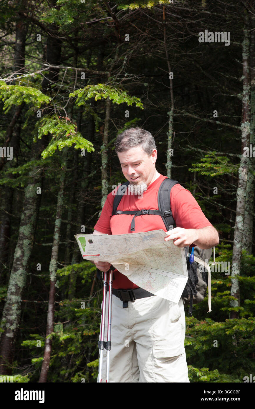 A hiker looking at map on Gorge Brook Trail during the summer months ...