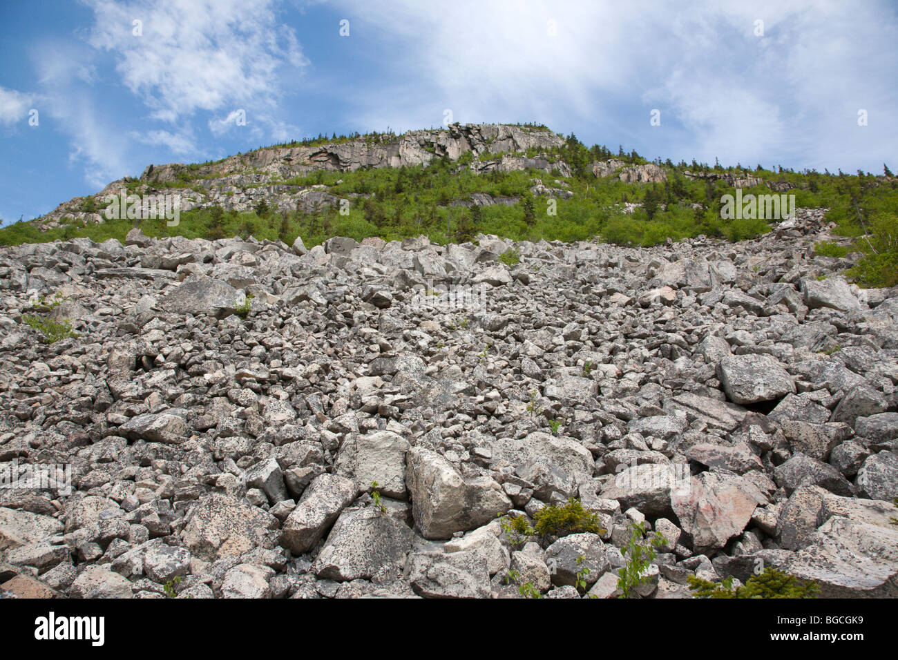 Zealand Notch - The cliffs of Whitewall Mountain from the Appalachian ...